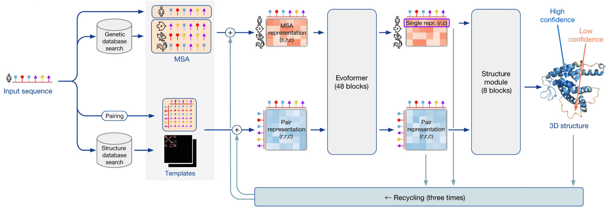 How does DeepMind AlphaFold2 work? | Personal blog of Boris Burkov