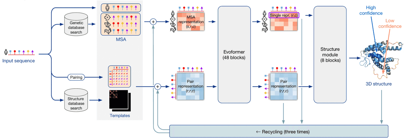 How does DeepMind AlphaFold2 work? | Personal blog of Boris Burkov